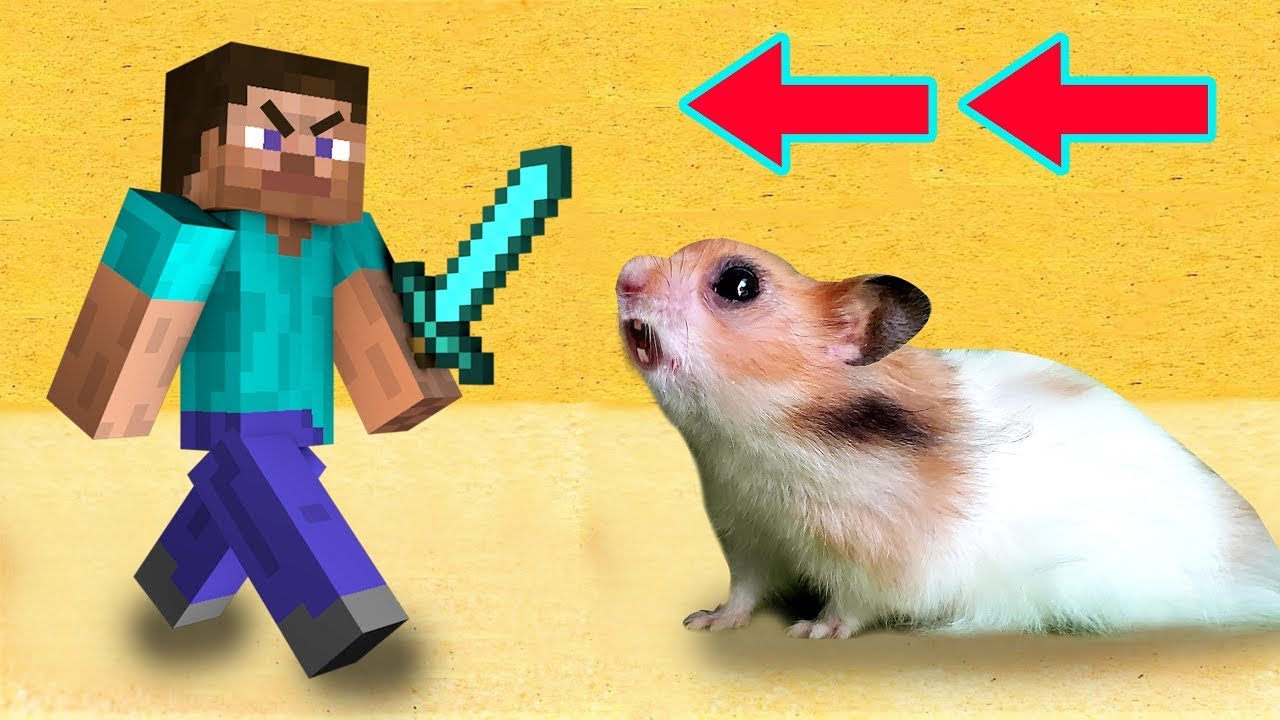 🐹Minecraft Hamster Obstacle Course Maze with Traps 😱 in Hamster Love ...