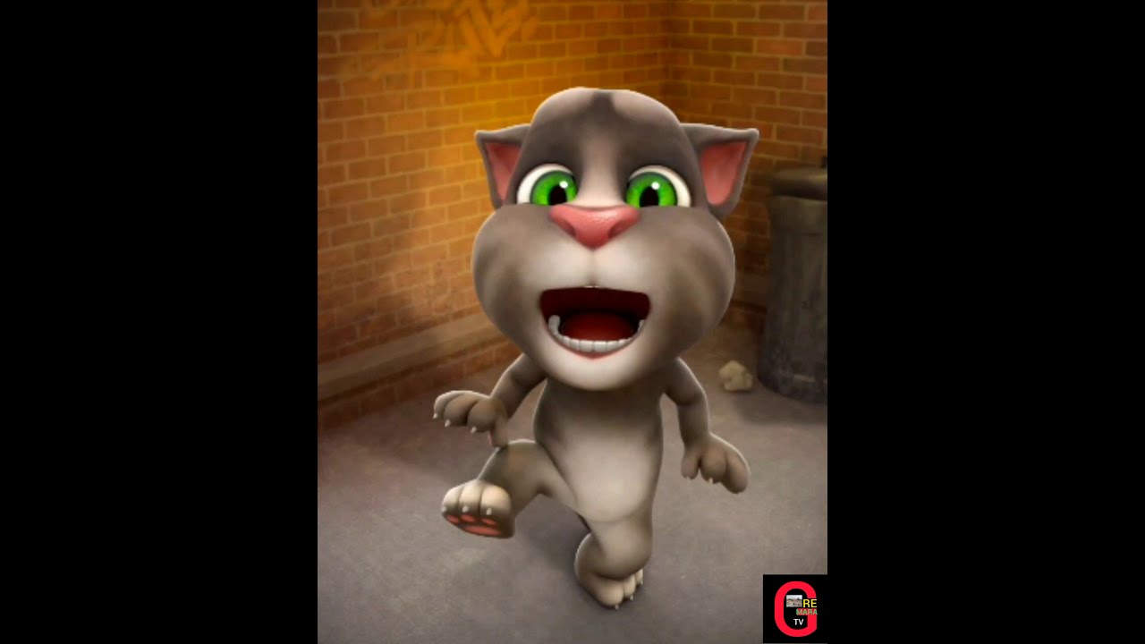 Talking tom effects