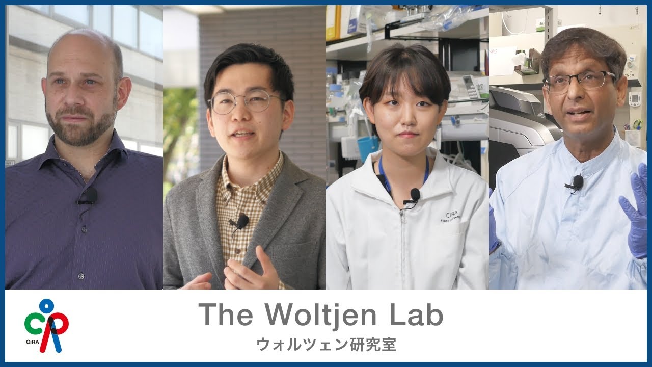 京都大学iPS細胞研究所 ウォルツェン・クヌート研究室の紹介 ／ Introduction to the Laboratory of Knut ...