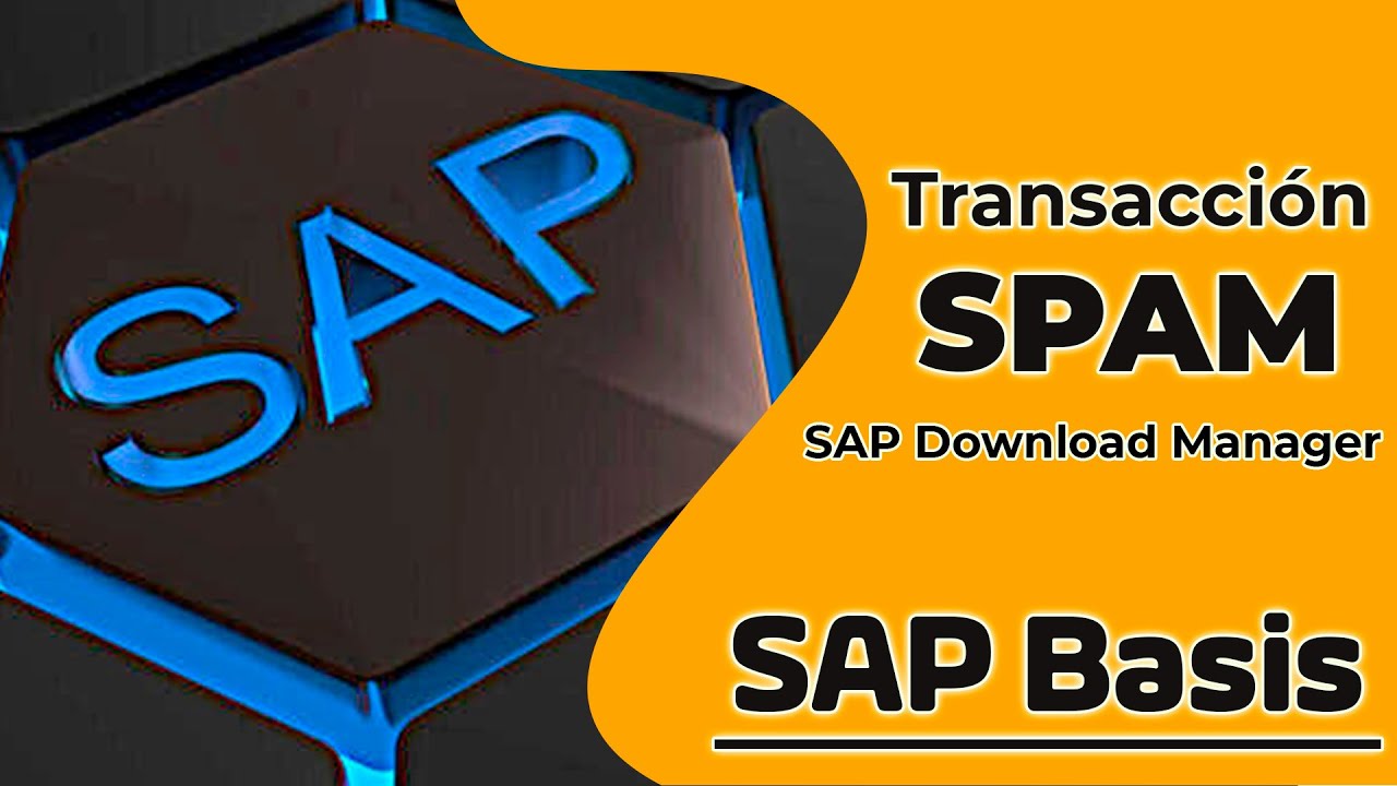SAP Basis - Transacción SPAM - Update de paquetes y notas - YouTube