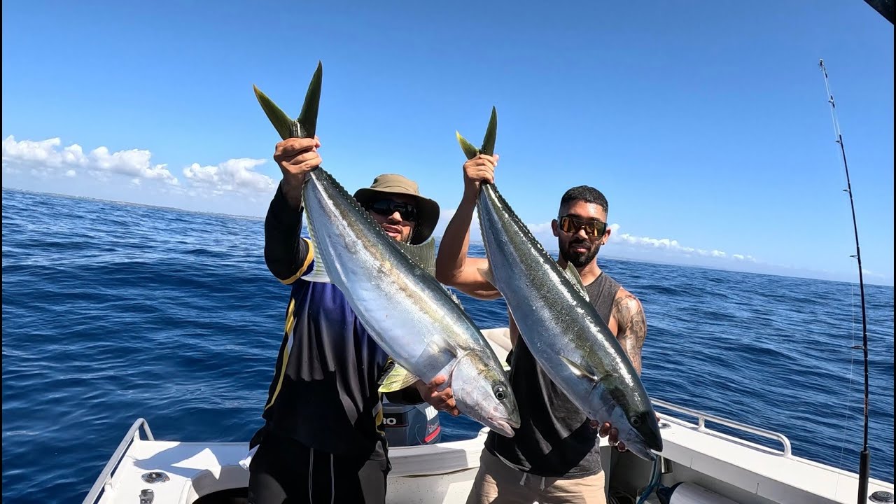 Catching Giant Kingfish at The Peak, Live Bait Mission Offshore ...