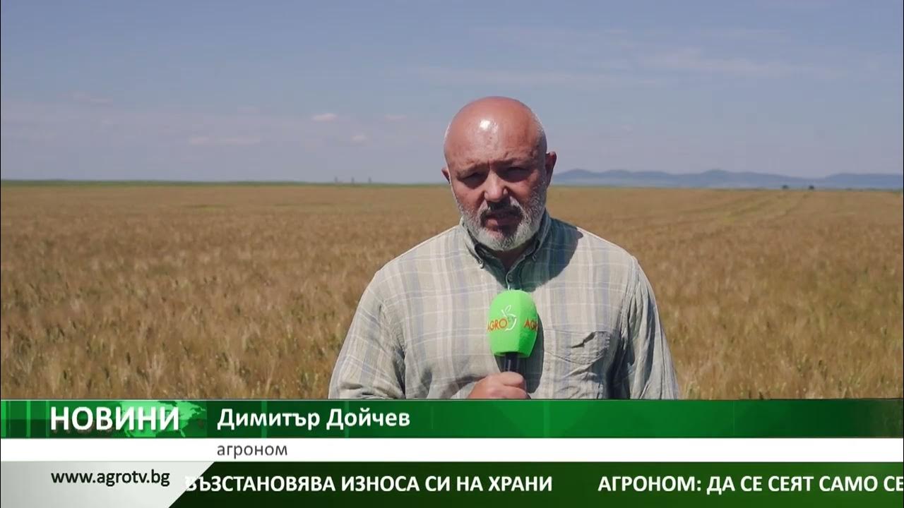 Избор на семена за есенната кампания Youtube