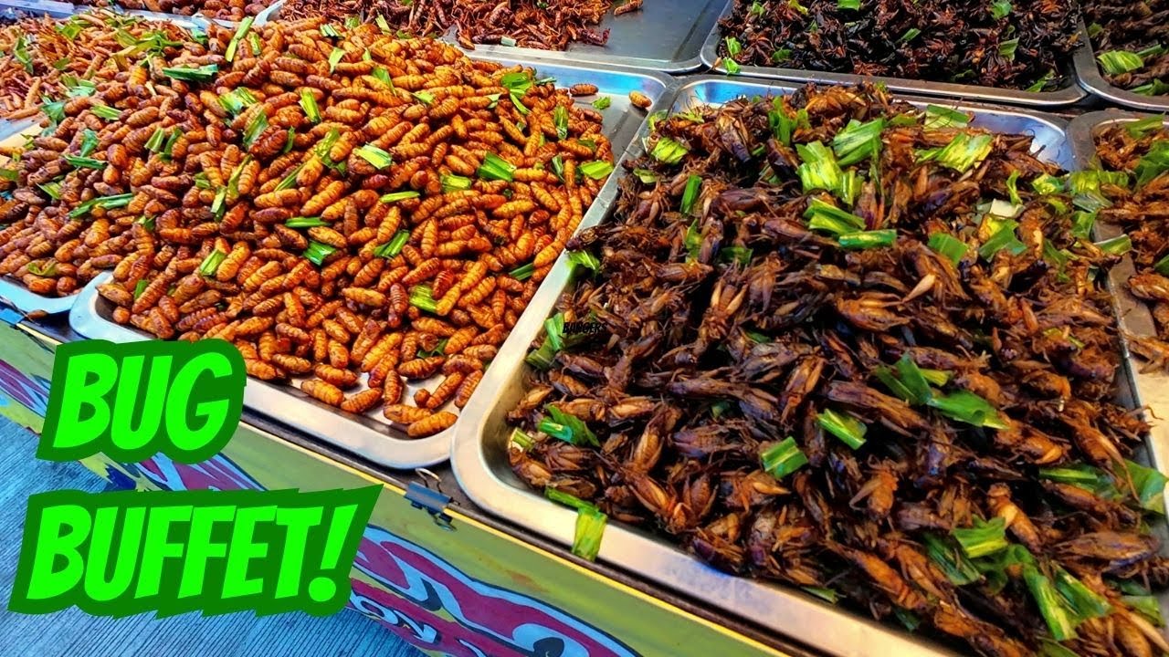 SURIN → ROI ET → MAHA SARAKHAM. - YouTube