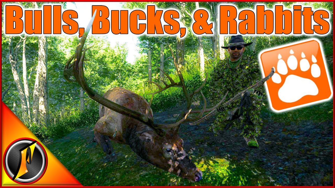 Big Bucks, Bulls, & Rabbits From a Ground Blind in theHunter Classic ...