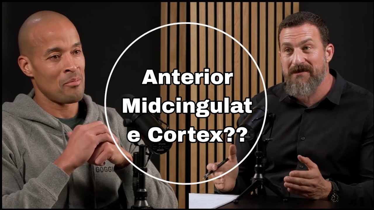 The mystery of Anterior Midcingulate Cortex. - YouTube