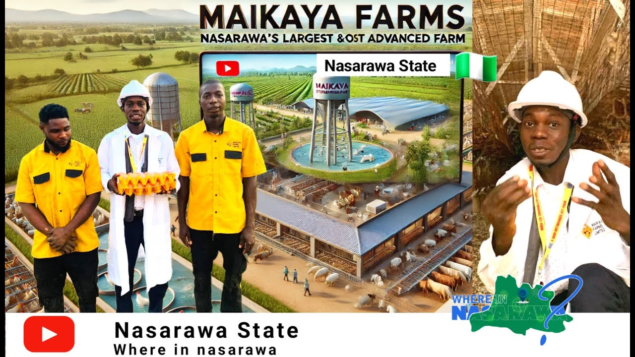 Maikaya Farms – Nasarawa’s Largest & Most Advanced Farm - YouTube