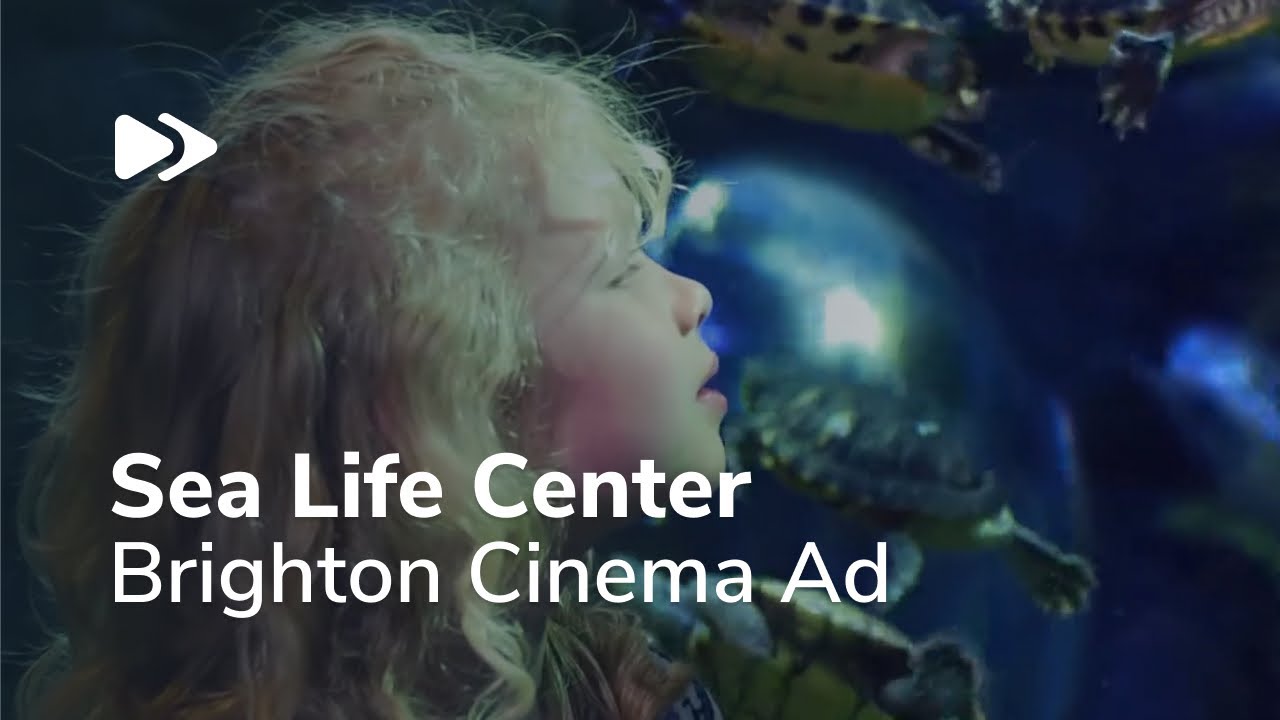 Sea Life Center: Brighton Cinema Advert | Promotional Video - YouTube
