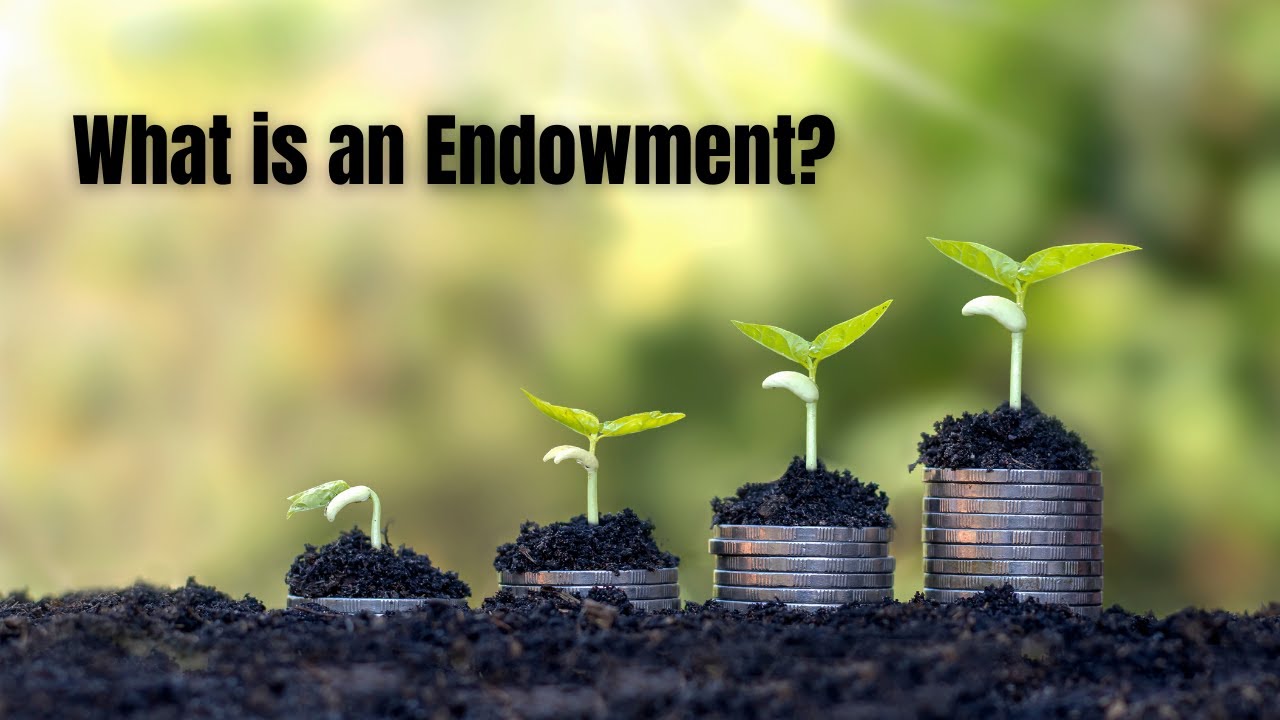 What is an Endowment? - YouTube