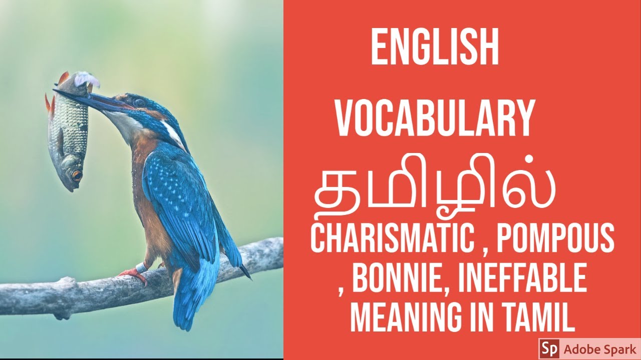 English Vocabulary Vocabulary Words With Tamil Meaning Day 6 YouTube