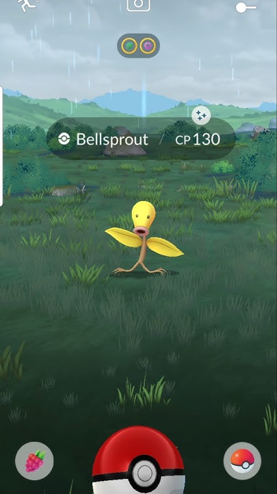 shiny bellsprout - YouTube