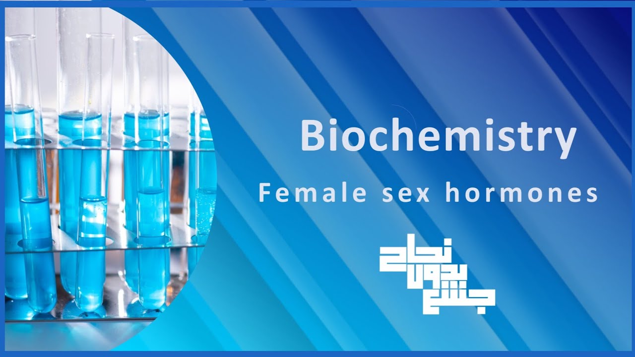 L1 Female Sex Hormones Bio Youtube