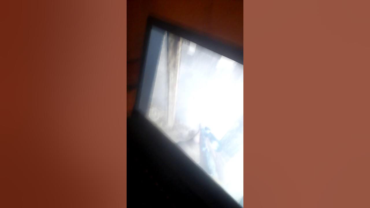 Коловдюти - YouTube