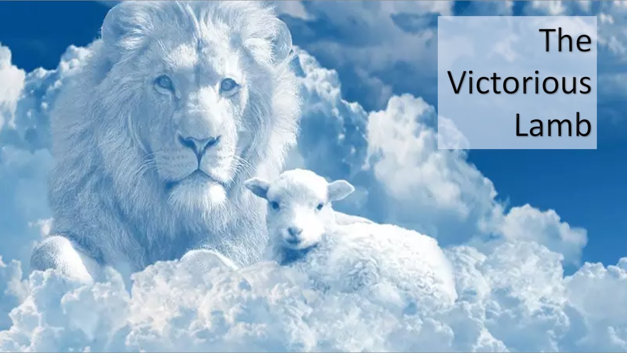 The Lamb of God - The Victorious Lamb - YouTube