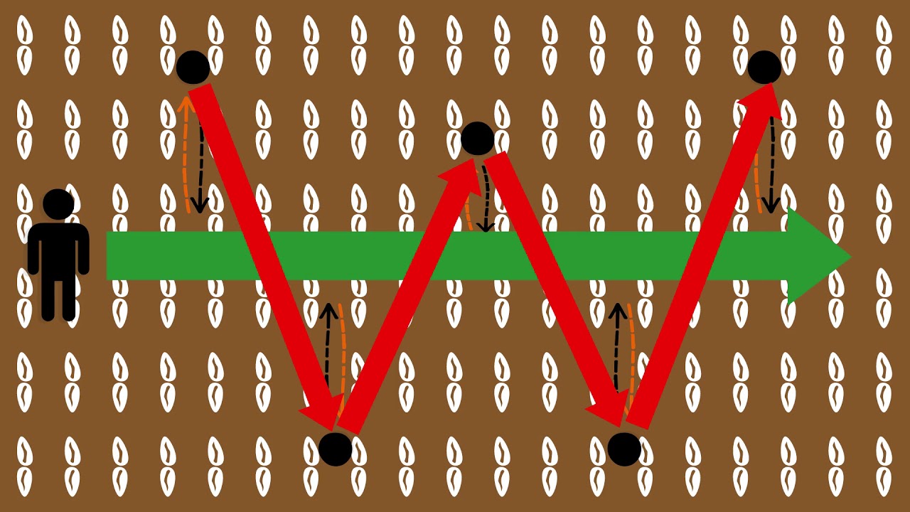 M3 Animation 2 Cob Scouting 36 5KB - YouTube