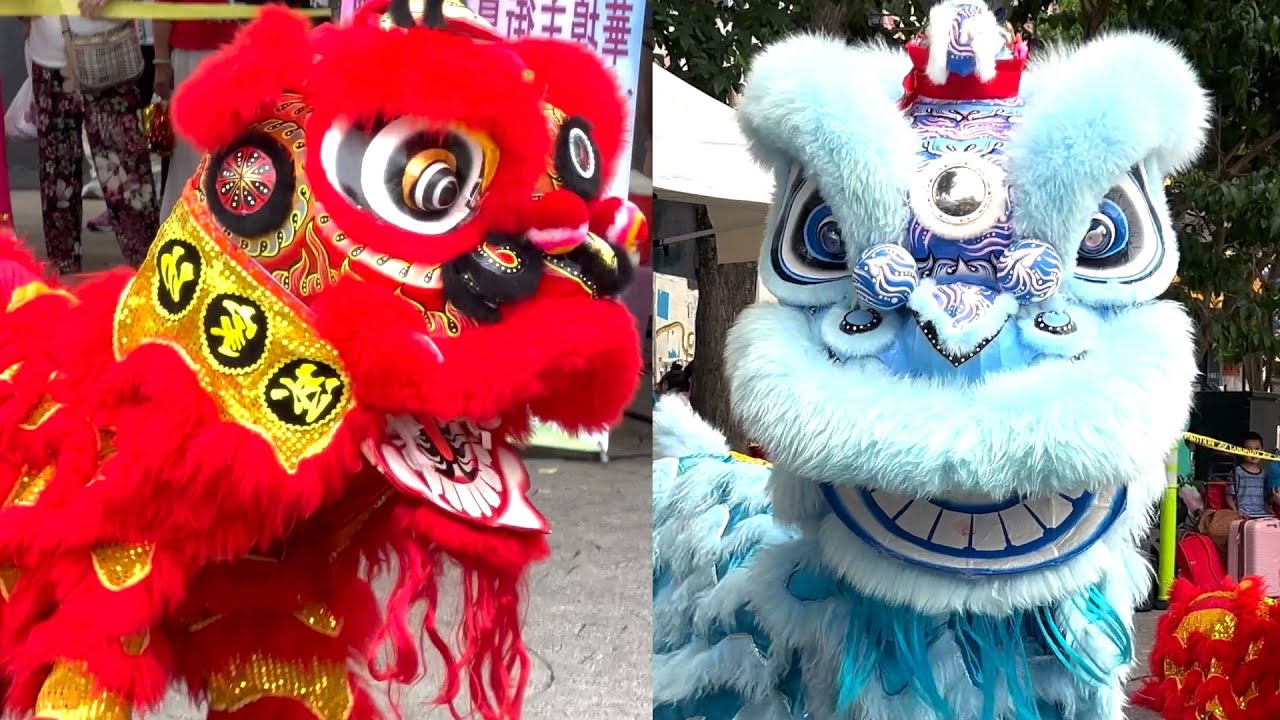 2024 Red & Blue Lion Dance Múa Lân Adult Young Generation Performance ...