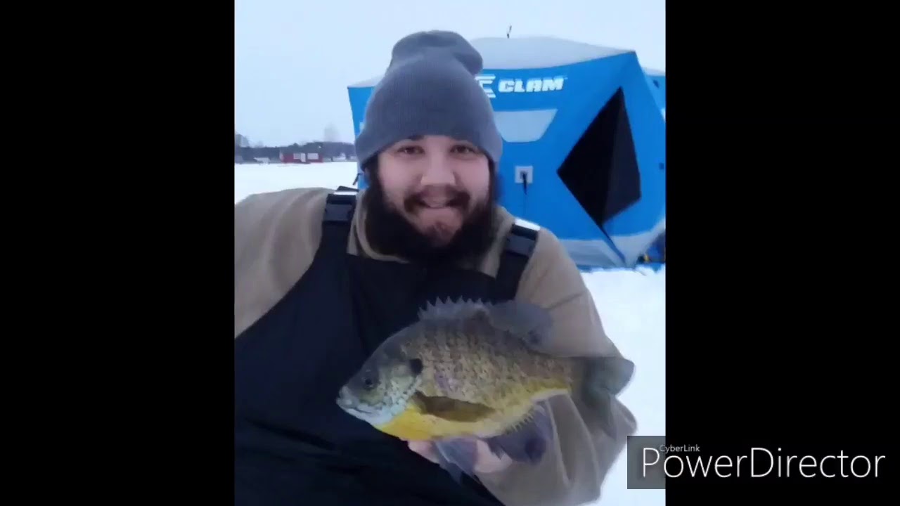 Palm Rod Banjo Model setup and tutorial - YouTube