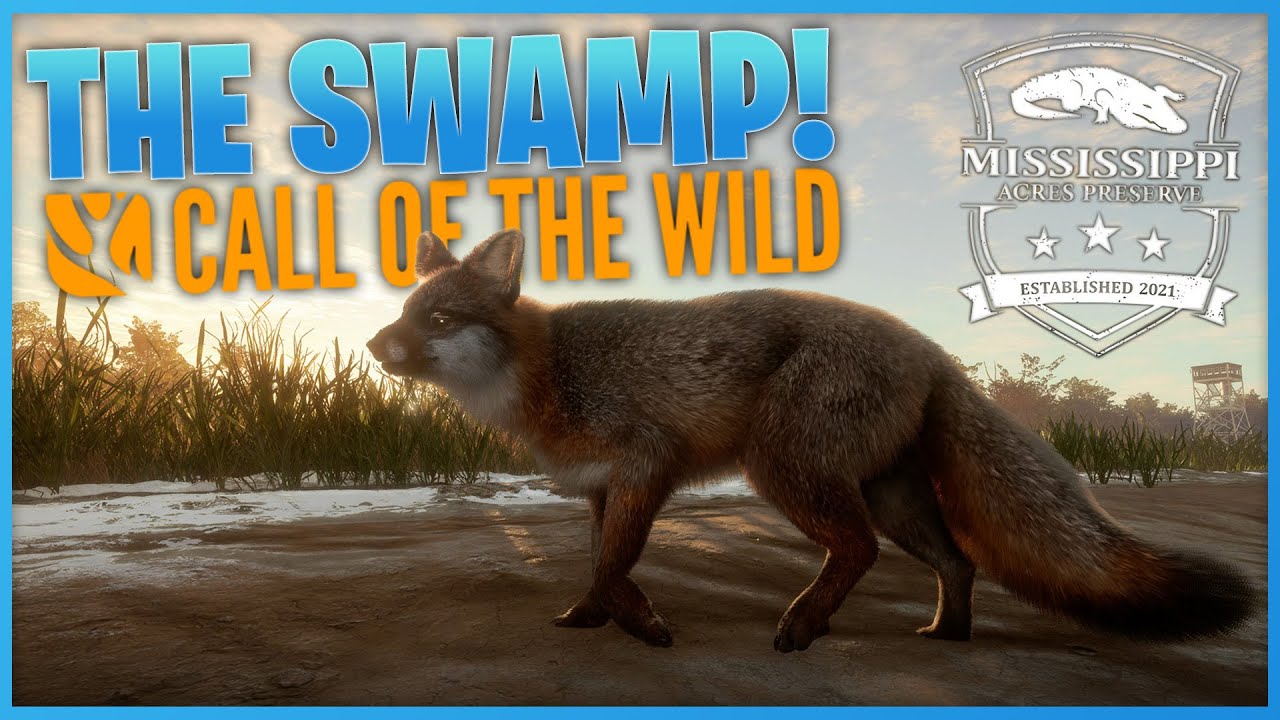First Time In The SWAMP! | Call Of The Wild (New Map) - YouTube
