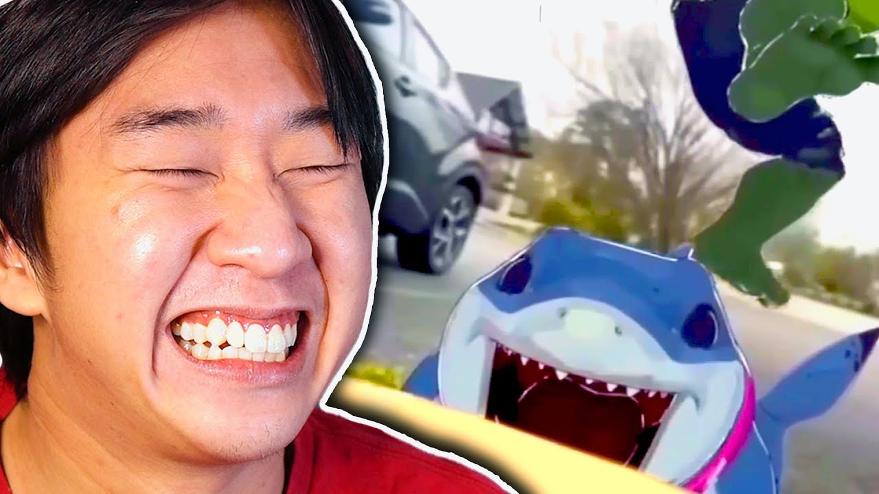 Discord Memes | Jeff The Shark Edition - YouTube