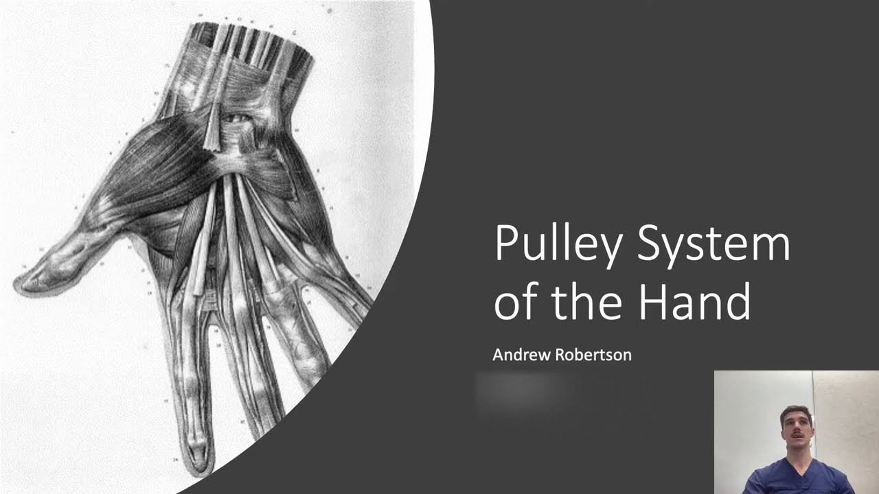 Pulley Systems of the Finger by Andrew Robertson - YouTube