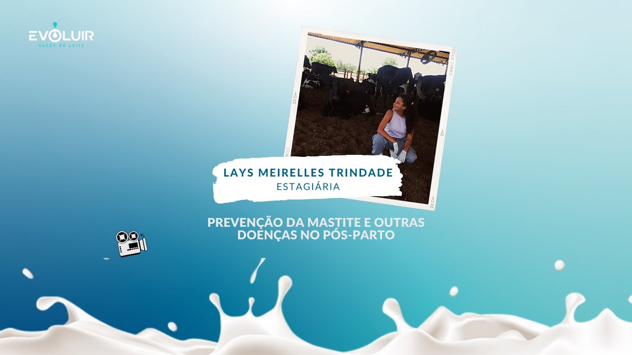 Prevenção da mastite e outras doenças no pós parto. - YouTube