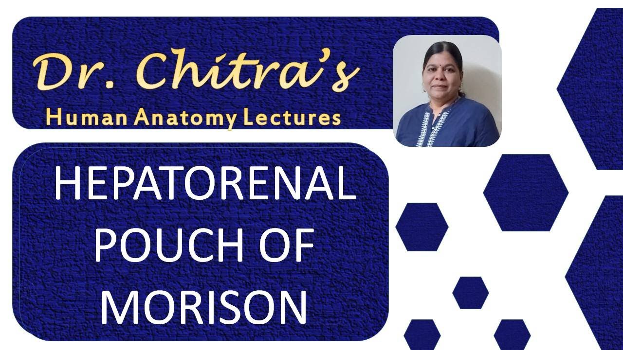 Pouch Of Morrison