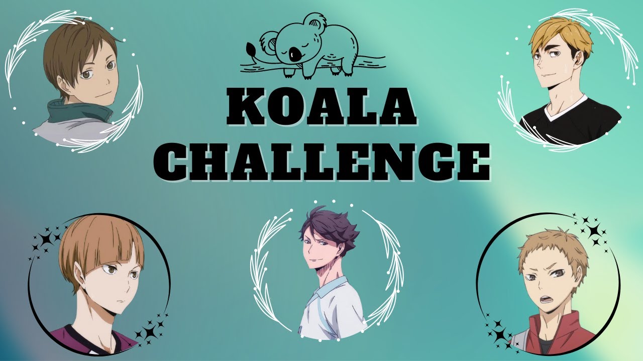 Koala Challenge | Boyfriend challenge (part 2/2) | Re-voiced reupload ...