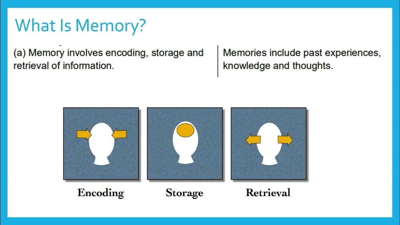 Memory Intro - YouTube