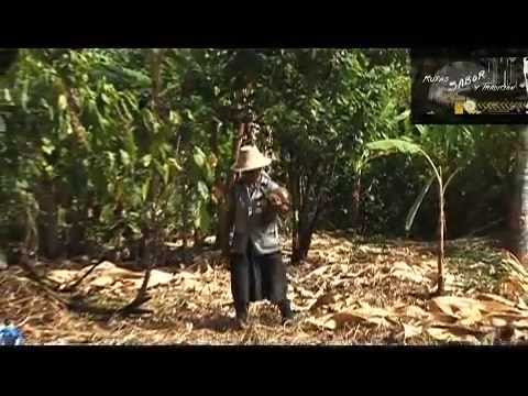 Panelas de Yuca - Rutas, Sabor y Tradición - YouTube