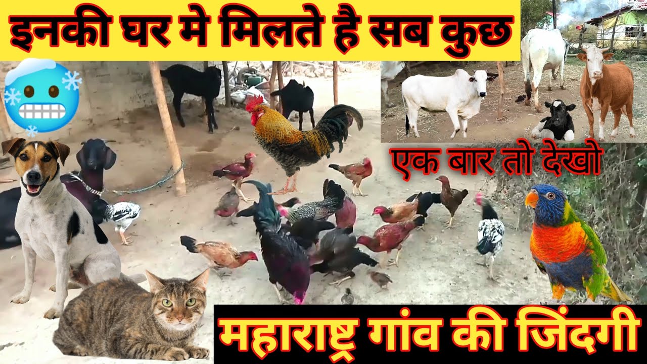 Marathi Village Life | Village life in maharashtra india | Rural India ...