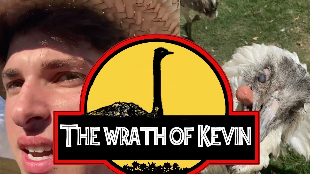 The Wrath Of Kevin : Urban Rescue Ranch - YouTube