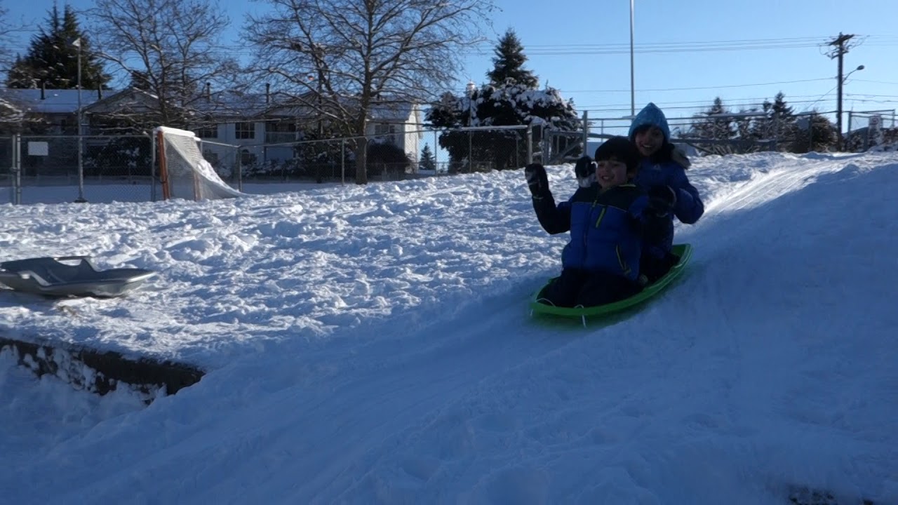 Crow sledding - YouTube