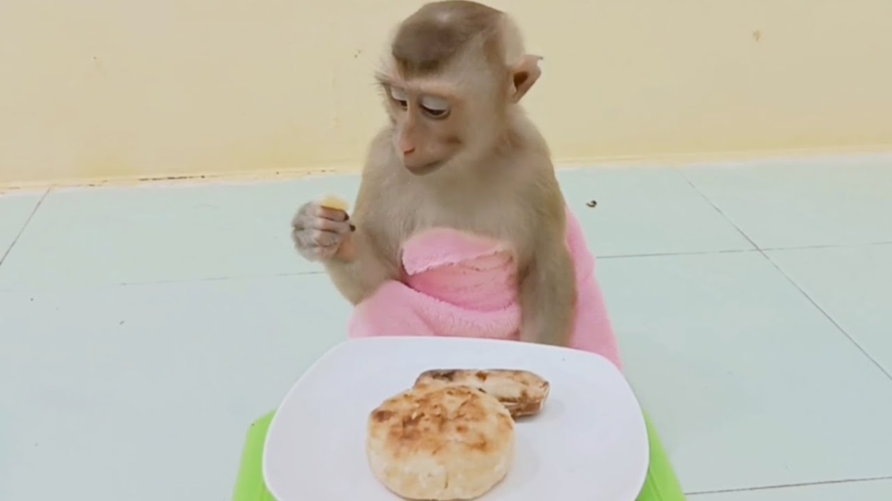 PiPi Looks Adorable In Her Pink Towel!!! ️ - YouTube