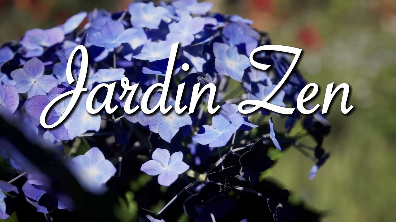 Musique relaxante & Sons de la Nature 4k • Jardin Zen ♪ - YouTube