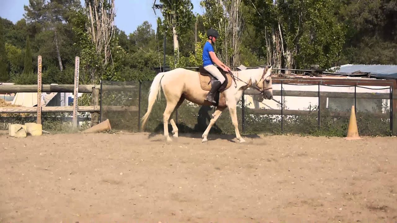 Mathieu & Vénus - 23 Juillet 2013 - "Sage comme une image..." - YouTube