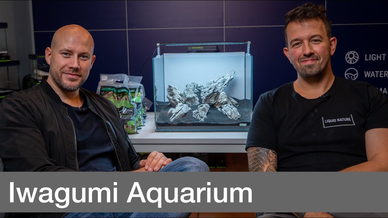 Aquascaping mit @PlantedTank! | Liquid Nature Interview - YouTube