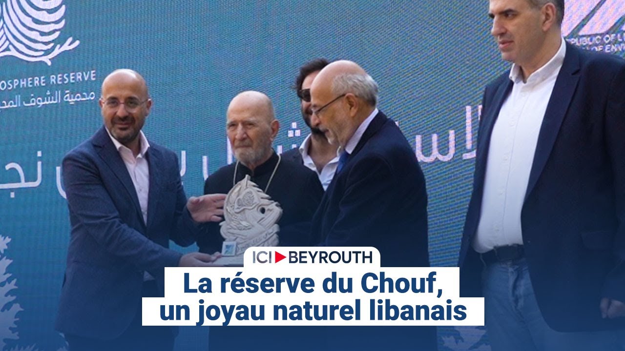 La réserve du Chouf, un joyau naturel libanais - YouTube