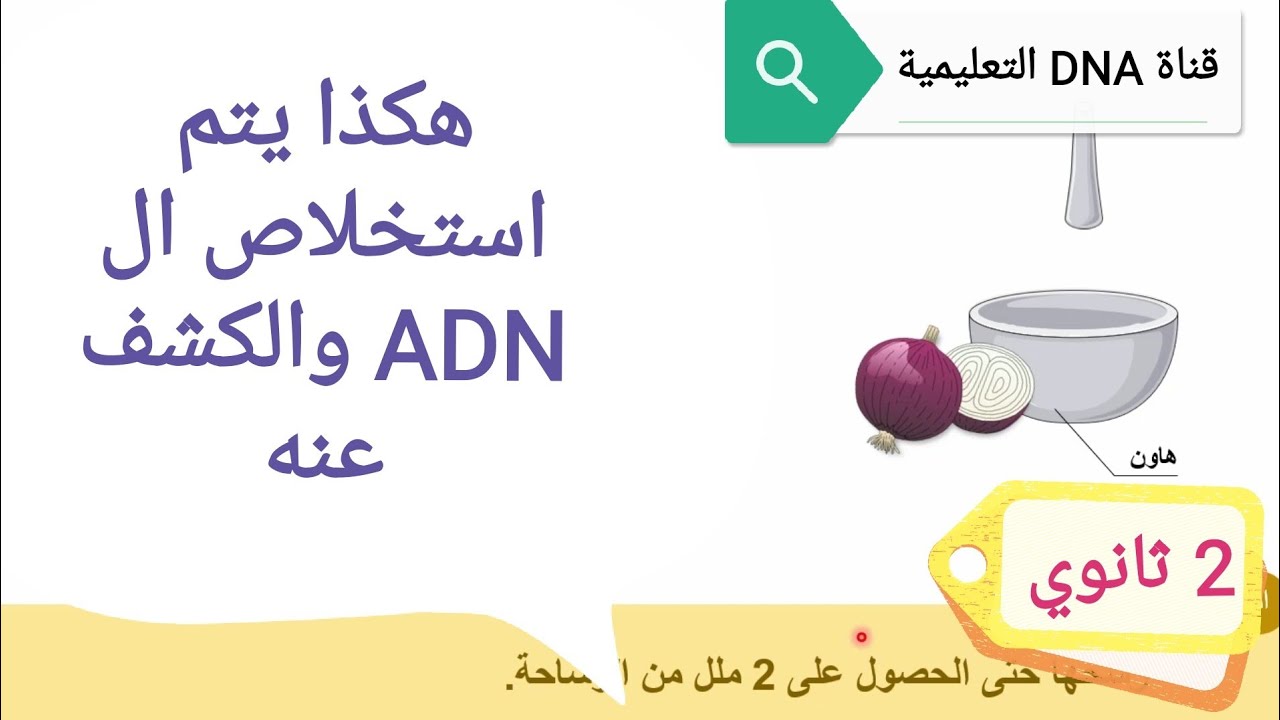 استخلاص ال adn | الكشف عن ال adn - YouTube