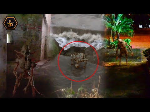 Top 3 Mysterious Creatures Caught on Camera 2020 - YouTube