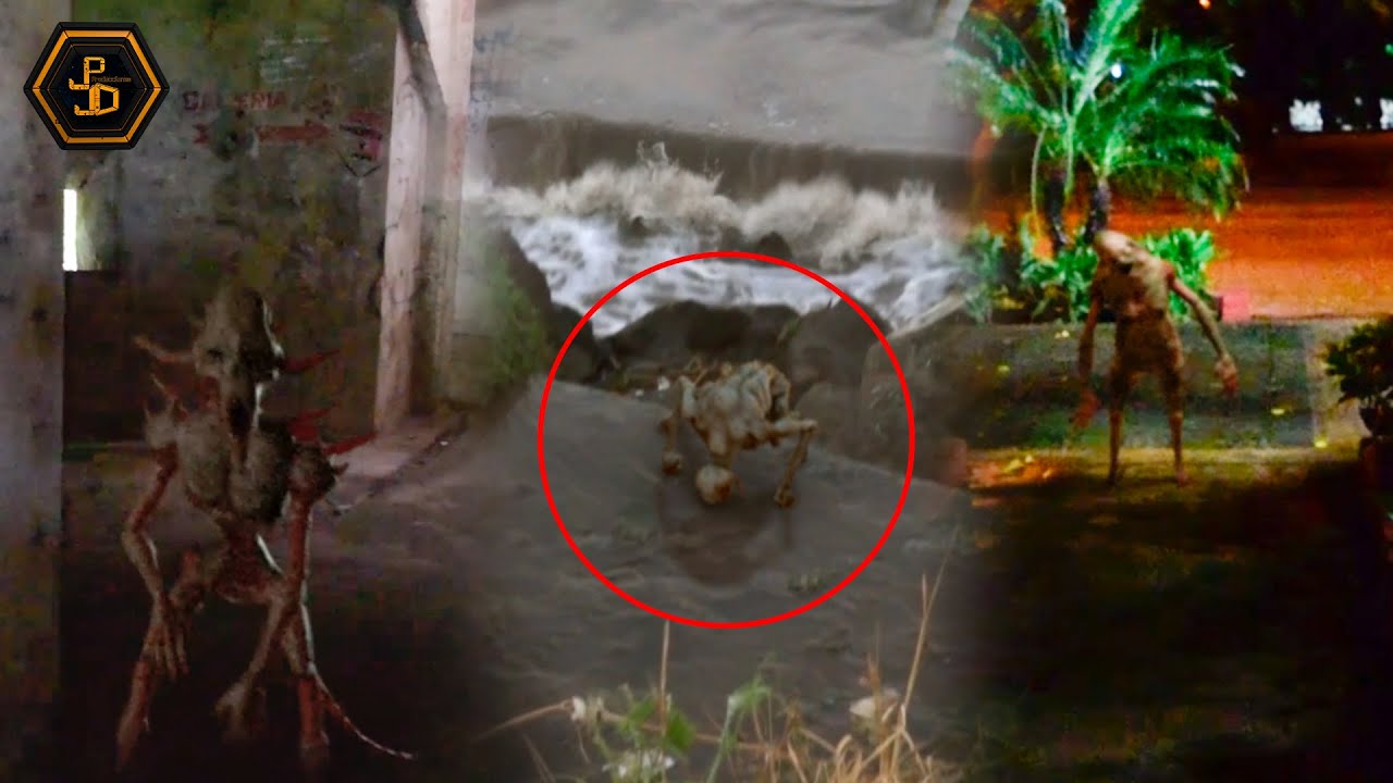 Top 3 Mysterious strange Creatures Caught on Camera 2020 Real or fake ...