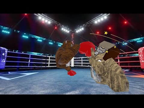 EPIC BOXING BATTLE WITH 9K!!!!!!! - YouTube