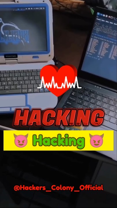 Hacking Hackers Attitude #hack #hacker #ethicalhacker #facts #bitcoin #tech #cyberhack #termux # ...