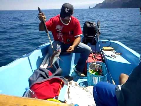 peche a bouzejar cap figalo - YouTube