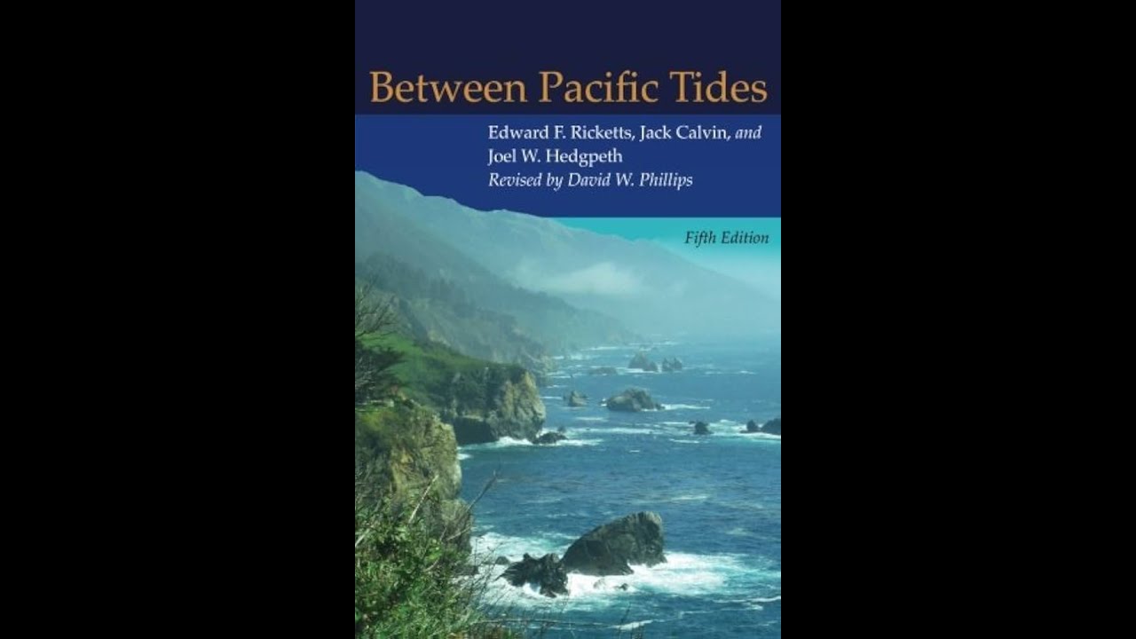 Between Pacific Tides - James Hayes - Book Report - YouTube