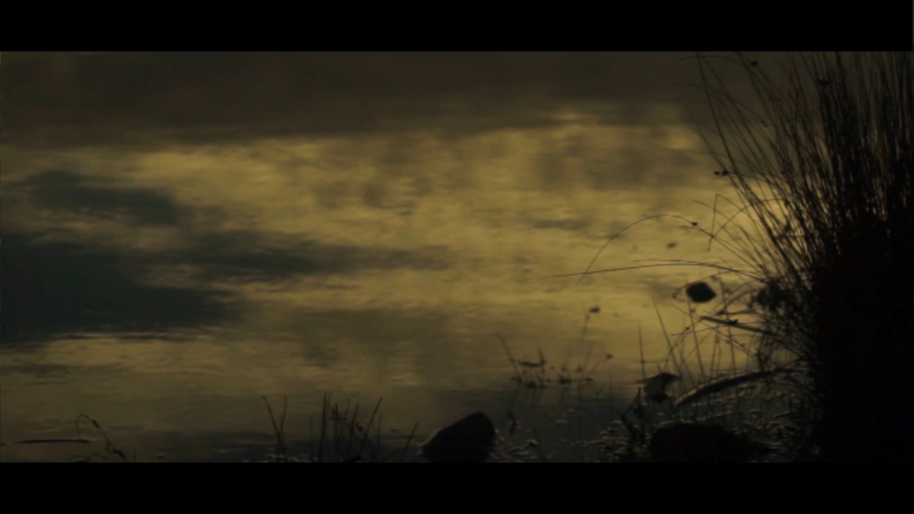 Southern Wild Distillery - YouTube