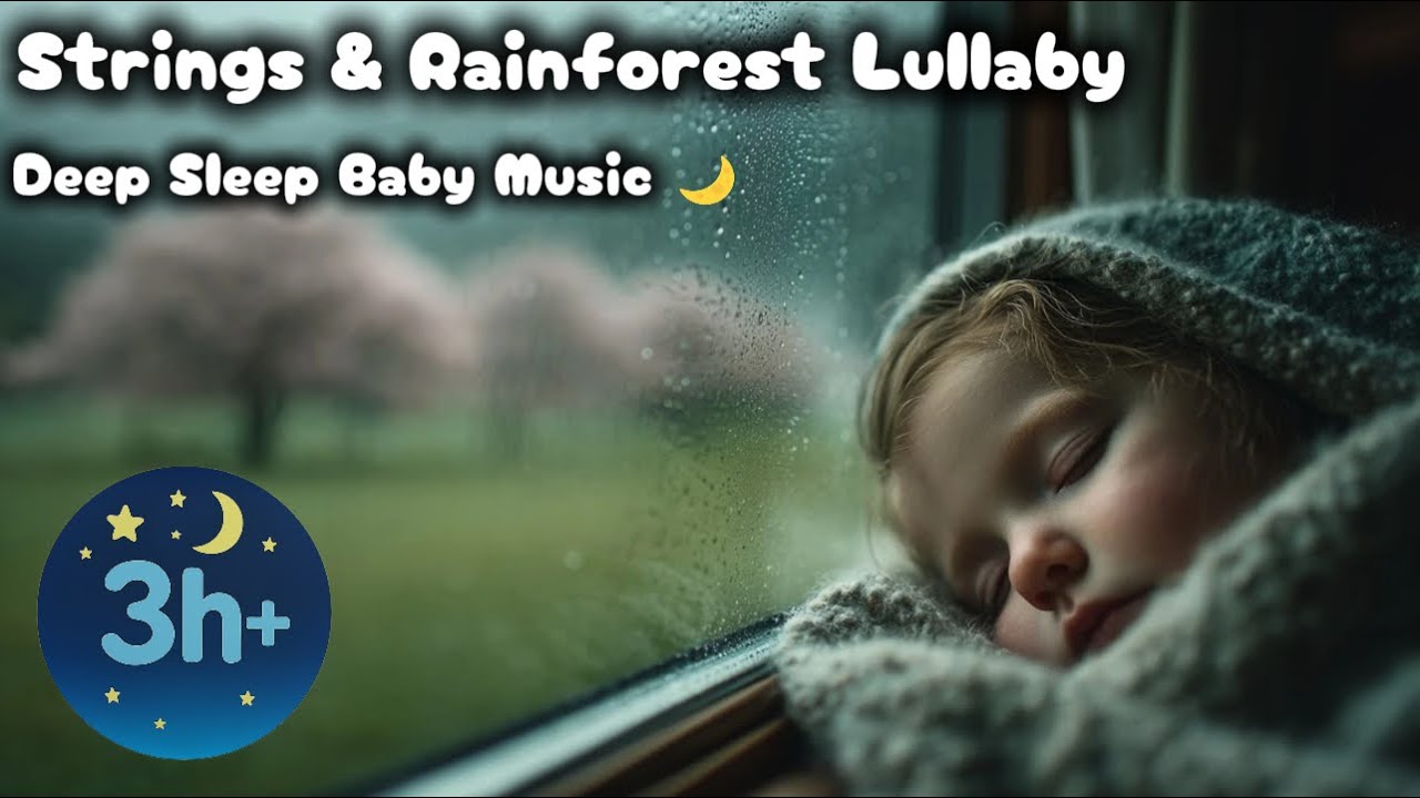 Strings & Rainforest Lullaby – Deep Sleep Baby Music 🌙 - YouTube