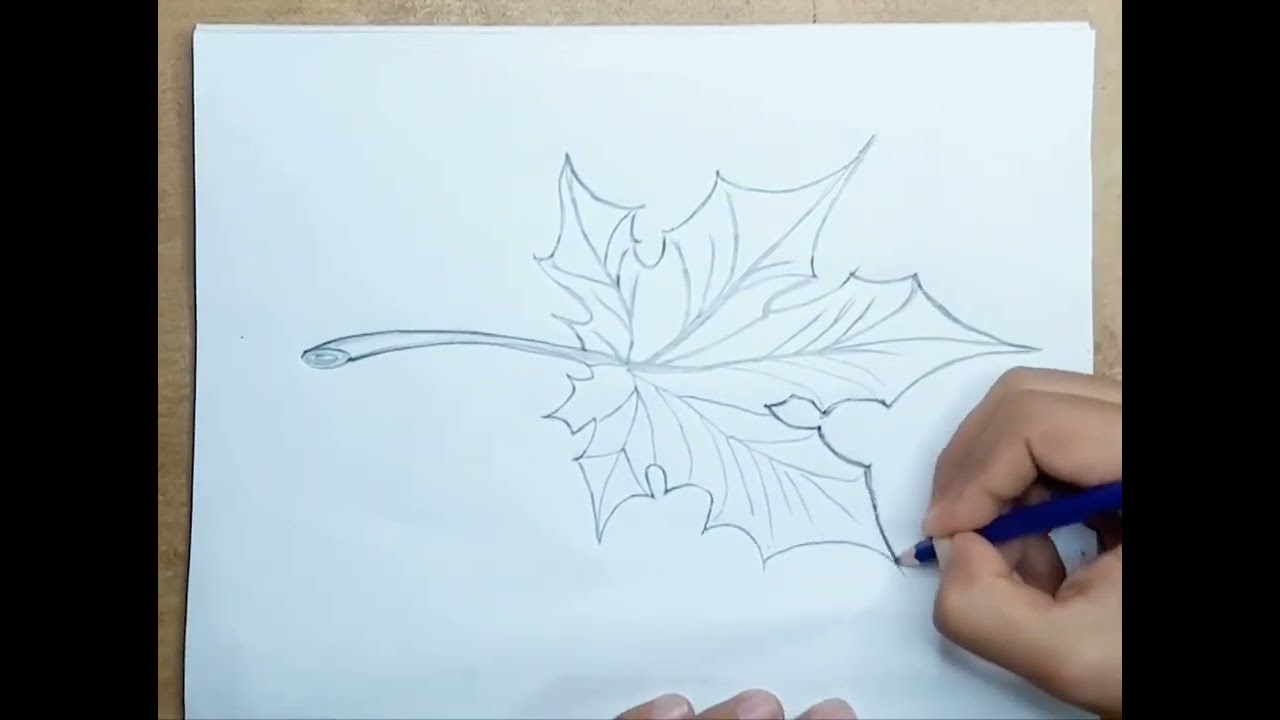 How to draw leaves in easy way #leaves easy way #drawing #art - YouTube