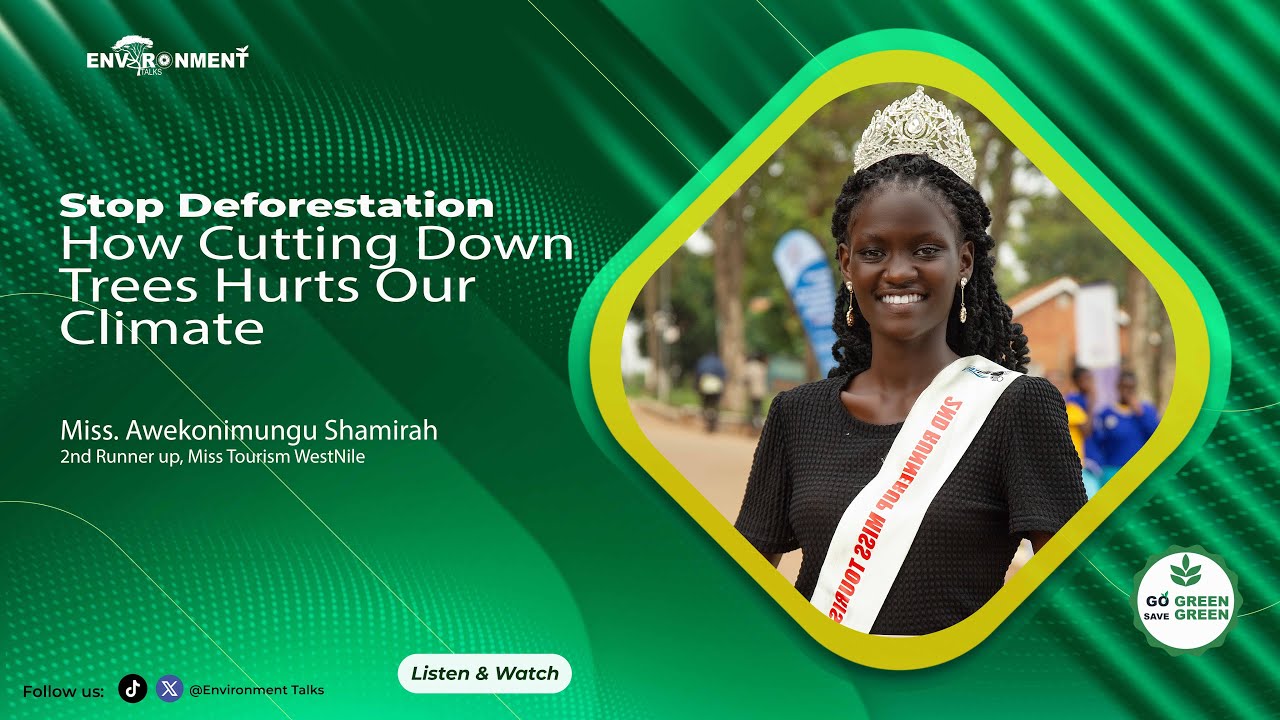 Stop Deforestation: How Cutting Down Trees Hurts Our Climate #environment #climate #sdgs - YouTube