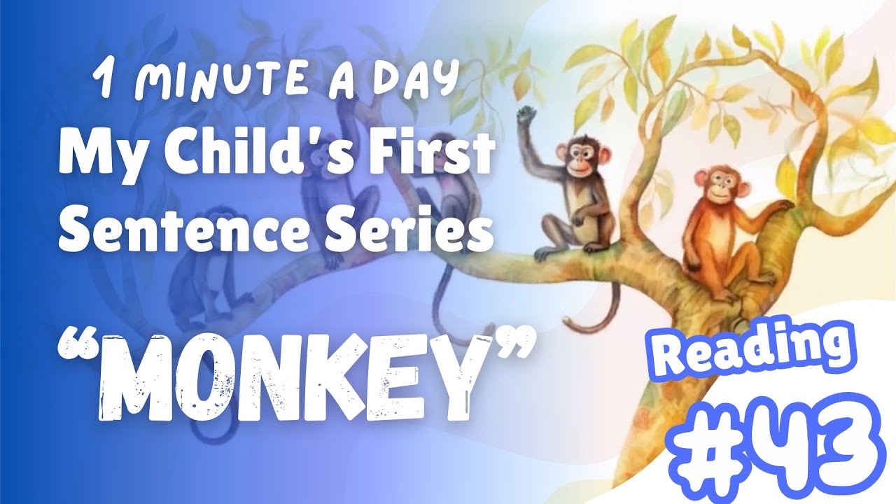 Read About the Monkey 🐵 | 1 Minute A Day My Child’s First Sentence ...