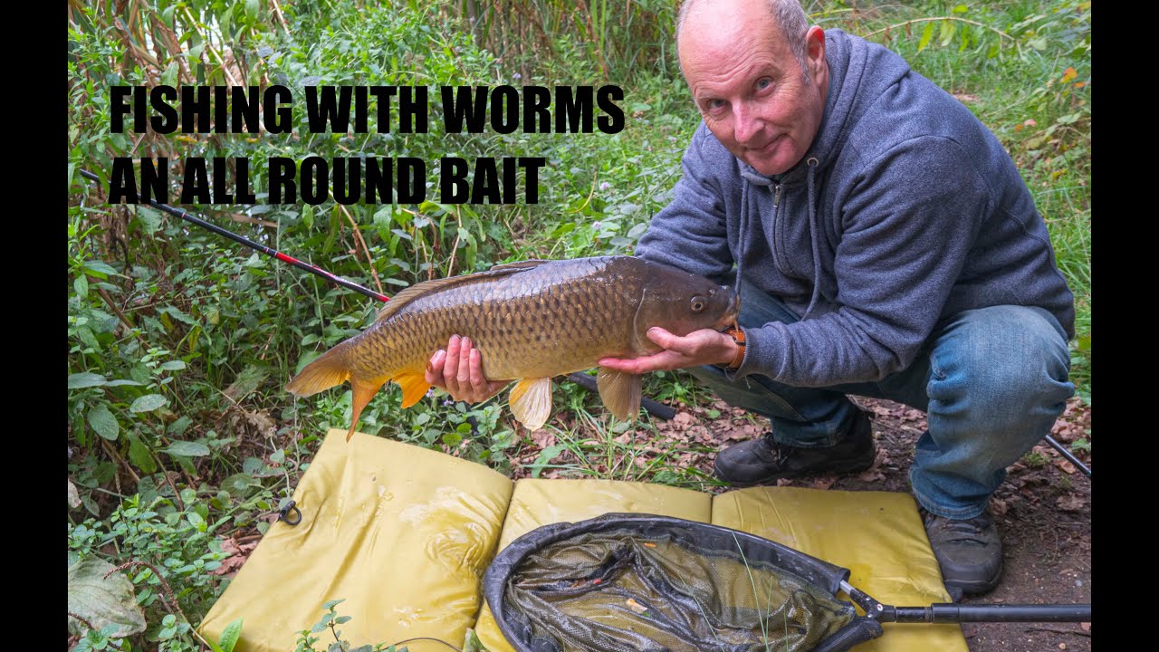 Fishing With Worms, a fantastic bait. - YouTube