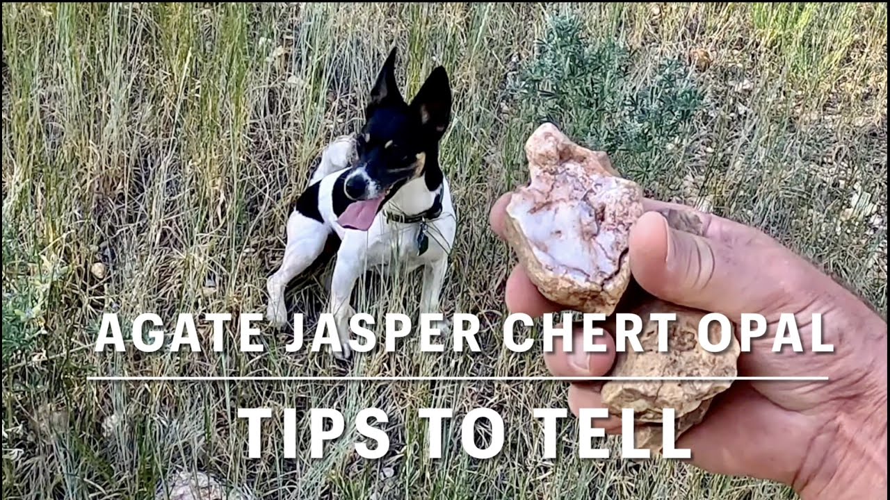 Agates, Jaspers, Chalcedony, Chert, Opal - How To Tell The Difference ...